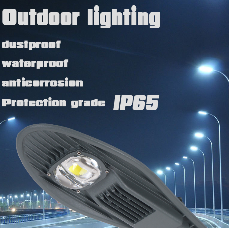 Anticorrosion 30W Epistar Chip Outdoor Led Street Light- RIOUS ...